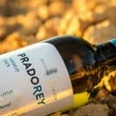 Bodegas en Ribera Del Duero | PRADOREY