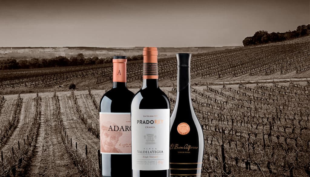Compra online vinos Pradorey, vinos de la Ribera del Duero. | Bodegas ...